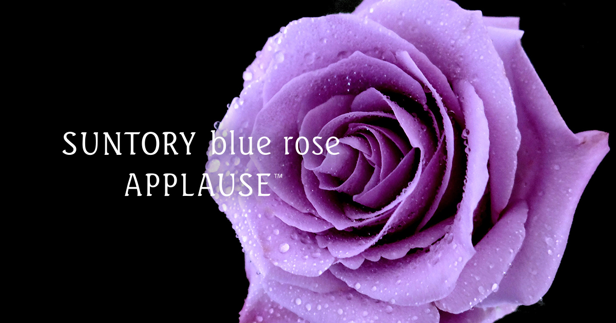 SUNTORY blue rose APPLAUSE™